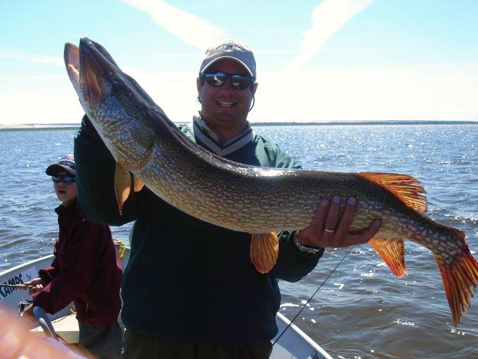 Exploring Effective Fishing Techniques: From Traditional to Modern ...