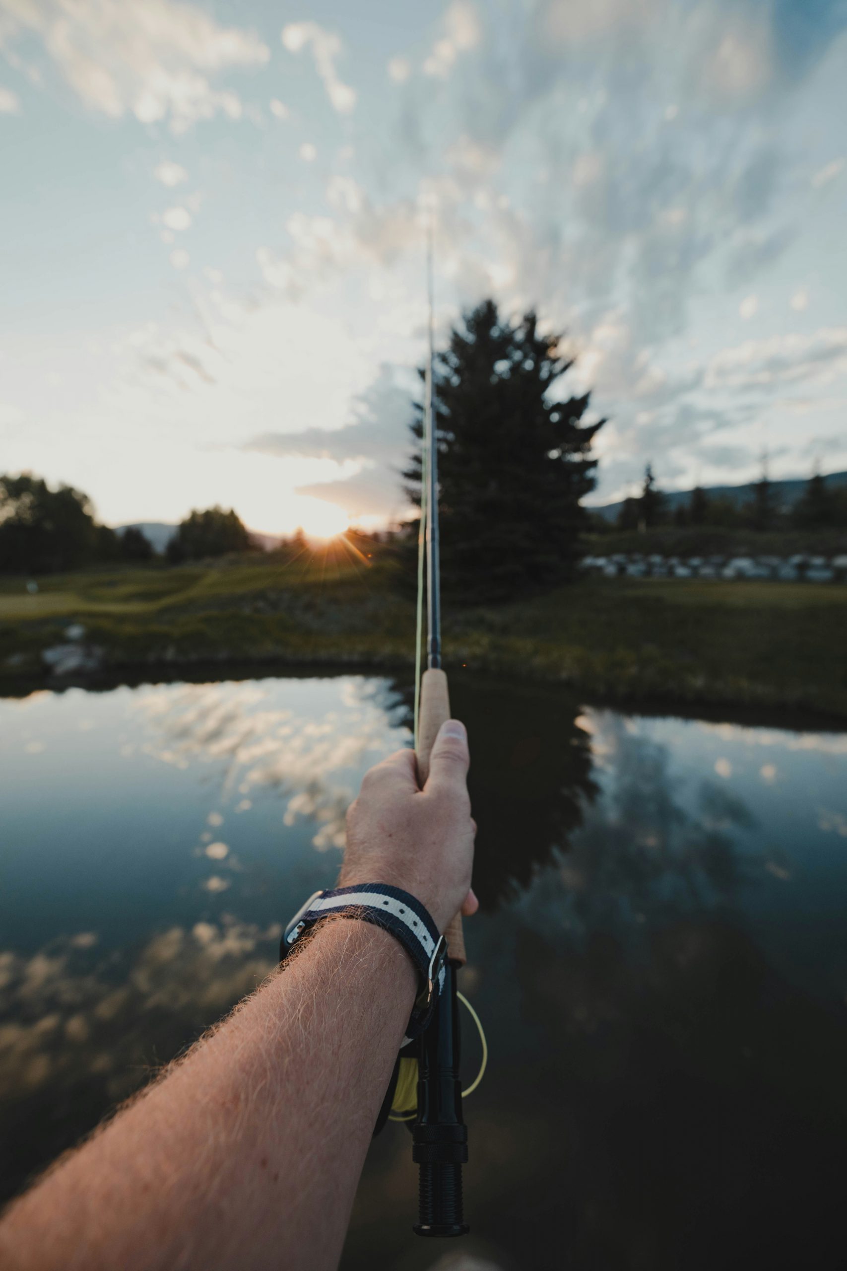 Mastering Fishing Techniques: A Comprehensive Guide to Success ...